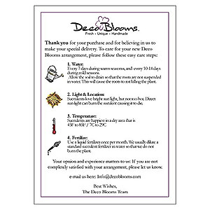 DecoBlooms Unique Succulent Plants (Collection of 16) - Fully Rooted in Planter Pots with Soil - Real Live Potted DIY Assorted Succulents