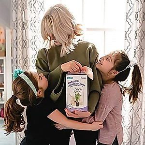 Back to the Roots Lavender Organic Windowsill Planter Kit - Grows Year Round, Includes Everything Needed for Planting