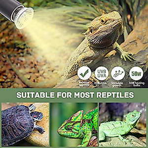 GoChes Reptile Aquarium Heating Lamp with Clamp and 360°Adjustable Holder, Dimmable Switch, Basking Heat Lamp for Reptile, Lizard, Turtle, Habitat, 2 UVA UVB Bulbs Included(E27,50W),CE Certified