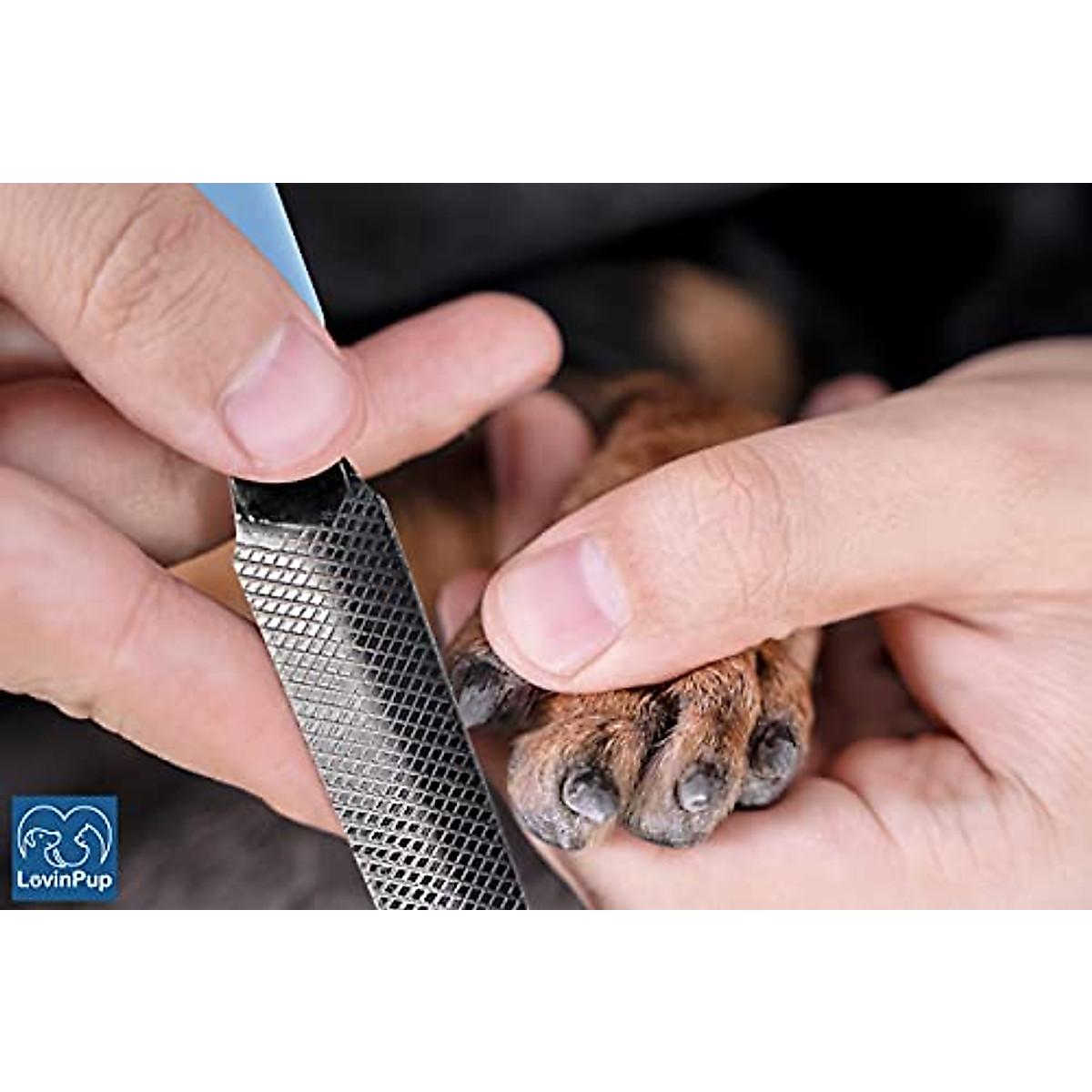 LOVINPUP Dog Nail Filer, Professional Nail Grooming Tool, Dog and Cat Nail Files, for Smoothing Rough Edges of Pet’s Nails, Best Nail Filer for Small/Large Dogs & Cats (1 Dog Nail Filer)