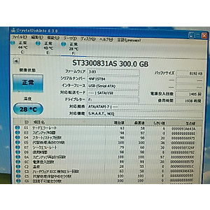 Seagate ST3300831AS 300GB Hard Drive