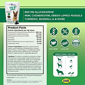 Vital Planet - Hip and Joint Soft Chews for Dogs, with Glucosamine, MSM, and Collagen from Green-Lipped Mussel - 30 Bacon Flavored Soft Chews