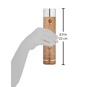 KERATHERAPY Keratin Infused KeratinFIXX Repair Shampoo, Repair Shampoo for Dry, Damaged or Frizzy Hair with Caviar Extract, Clear, 10.14 Fl Oz (Pack of 1) (Look May Vary)