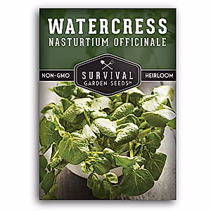 Survival Garden Seeds - Watercress Seed for Planting - Packet with Instructions to Plant and Grow Nasturtium officinale in Your Home Vegetable Garden - Delicious Superfood Non-GMO Heirloom Variety