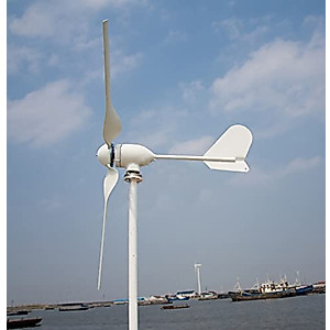 FLTXNY POWER Wind Turbine 1000W 12V Horizontal Wind Generator Kits 3 Blades with MPPT Charge Controller Free Energy