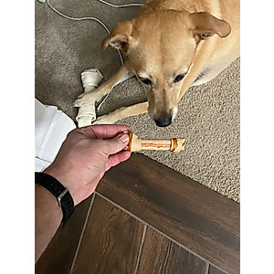 DOGCHEWZ™ Rawhide Free Knotted Bone Dog Chew Treats for Small & Medium Dogs - Size 5 inches (5 Count/Bag) - Chicken Flavored - Gluten Free
