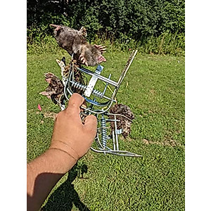 Mole Whacker Trap