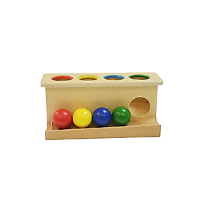 LEADER JOY Montessori Toddlers Wooden Push Ball Toys Baby Preschoolers Toys Push Toys