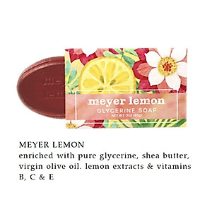 Greenwich Bay Trading Co., Fresh Fruit Collection, Set of 4 Glycerine Bar Soaps, 3 Oz. Each - Coconut Mango, Meyer Lemon, Tahitian Lime and Valencia Orange