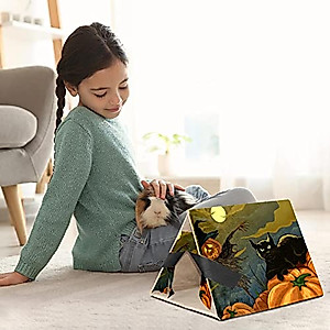 RATGDN Small Pet Hideout Scary Halloween Pumpkin Hamster House Guinea Pig Playhouse for Dwarf Rabbits Hedgehogs Chinchillas