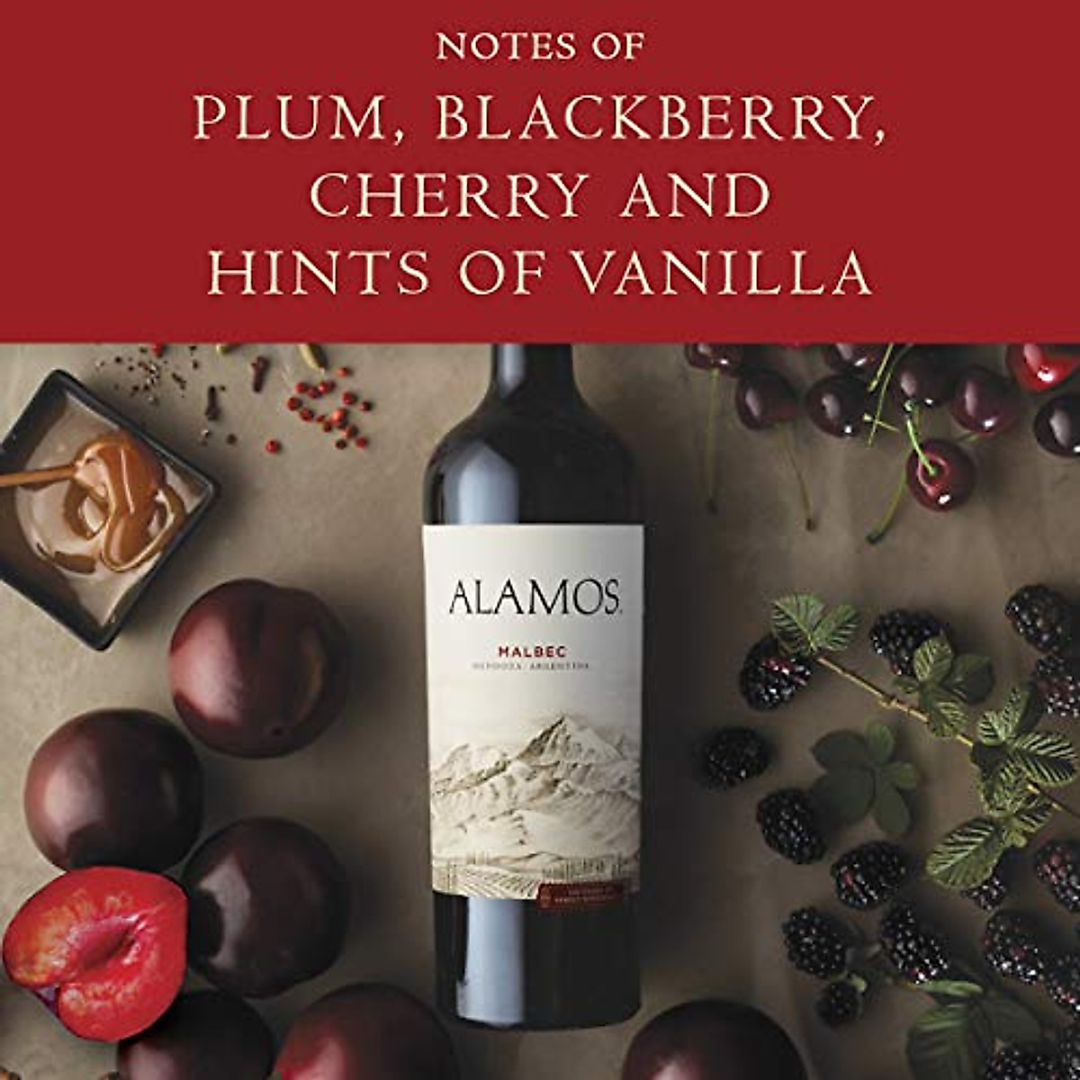 Alamos Malbec, Red Wine, 750 mL Bottle