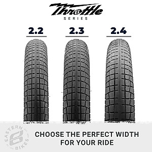 Eastern Bikes Throttle Series 20-Inch 100 PSI BMX Tire (Black & White Logo, 2.3")