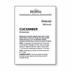 Burpee 'Armenian' Cucumber Seeds, 100 Non-GMO seeds, Heirloom