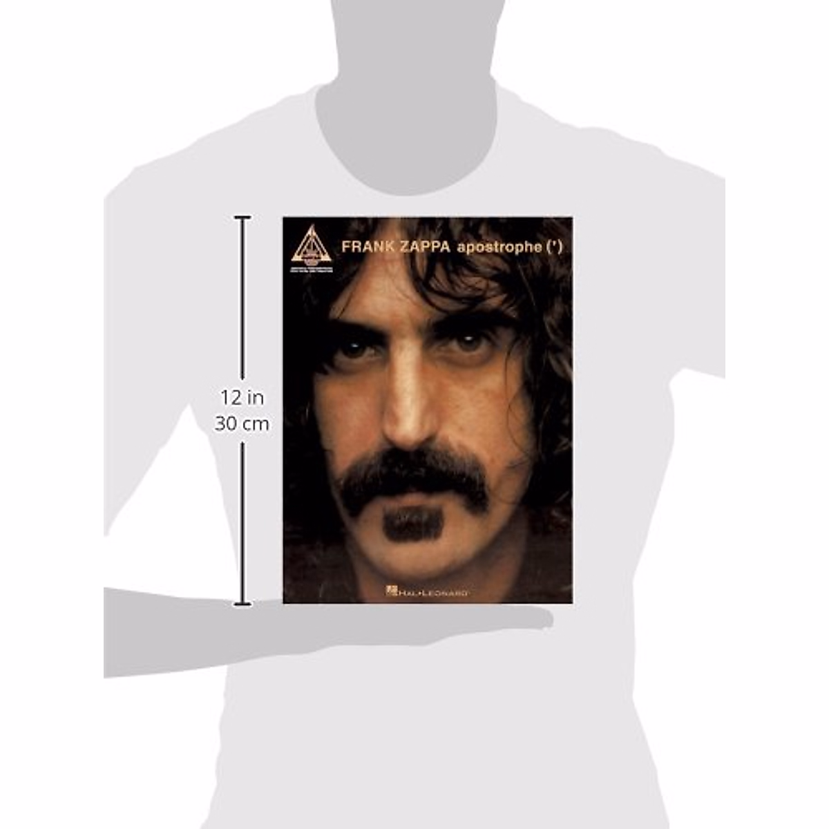 Frank Zappa - Apostrophe (') (Guitar Recorded Version)