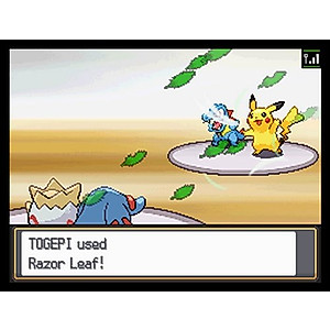 Pokemon HeartGold Version