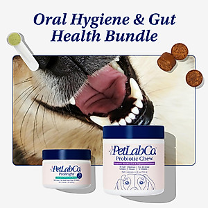 PetLab Co. – Oral Hygiene & Gut Health Bundle: Dental Powder for an Effortless Clean in 1 Scoop for Small Dogs & Probiotics for Dogs Supporting Gut Health & Seasonal Allergies