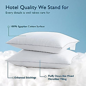 Dafinner Pillow (King)