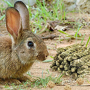 Roundler Rabbit Chew Toys, Small Animal Treats Natural Timothy Grass Chew Toys, Grass Stick Pet Snacks Molar Teeth Grinding Toy Chewing for Chinchillas Hamsters Guinea Pig Dwarf Rabbit Gerbils (H04)