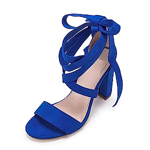 Huiyuzhi Womens Lace Up High Heeled Sandals Chunky Block Ankle Strappy Pumps Dress Party Shoes