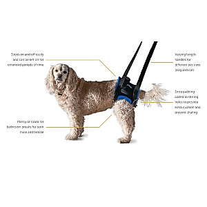Walkabout Back End Harness, Dog and Cat Lifting Aid for Pets Needing Assistance with Walking/Mobility - A Dog Support Harness for Back Legs (XLarge 32-36" Abdomen)