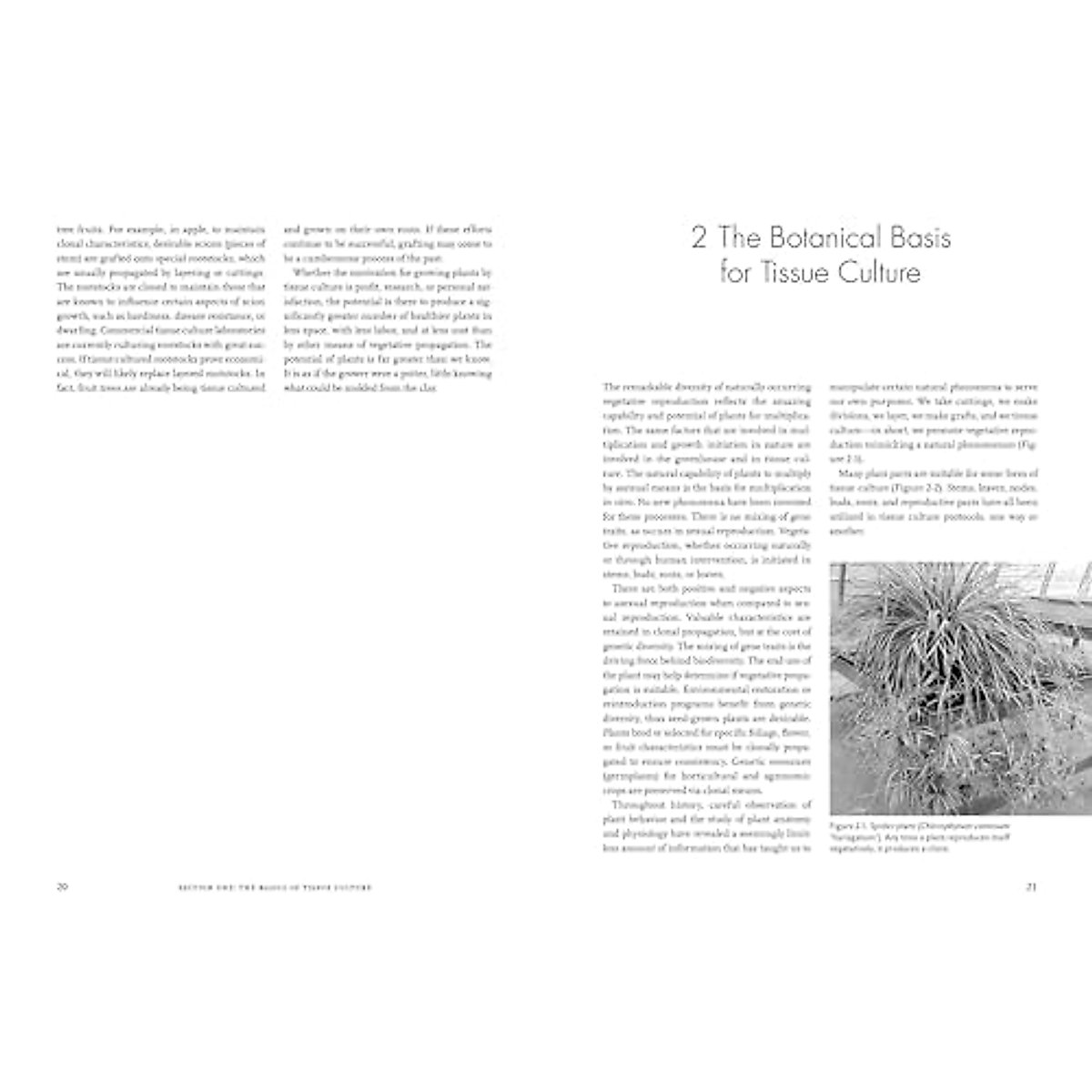 Plants from Test Tubes: An Introduction to Micropropogation