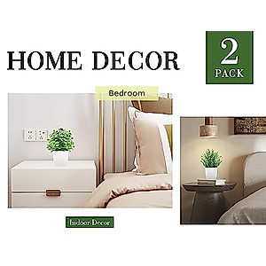 ZJIA 2 Packs Fake Plants Small Artificial Greenery Faux Plants Indoor for Home Farmhouse Bathroom Shelf Decor