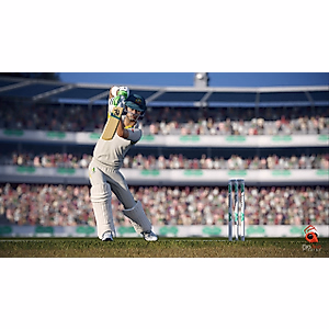 Cricket 19 - The Official Game of the Ashes - PlayStation 4 (PS4)