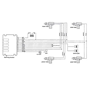 X AUTOHAUX 4 Doors Central Lock Locking System Car Keyless Entry Kit with Actuator - Only for 12V Vehicles