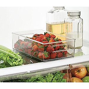 iDesign Plastic Portable Deep Storage Bin with Handles for Organizing Refrigerator, Freezer, Pantry, BPA-Free,8" x 4" x 14.5", Clear