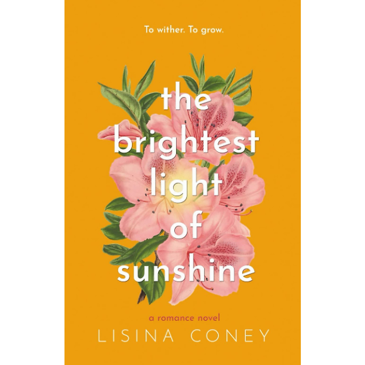 The Brightest Light of Sunshine