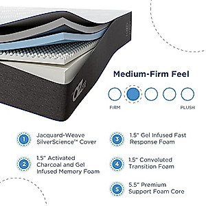 Dr. Oz Good Life 10 Inch King Size Mattress