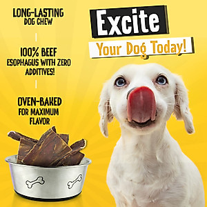 Raw Dog Beef Gullet Chips All-Natural Dog Treats, 8 oz. Bag - Premium Odor Free Dog Chews, 100% Beef, Grass Fed, Non-GMO