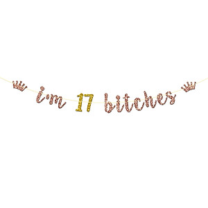 I'm 17 Bitches Banner, 17th Birthday Party Decor, Funny Seventeen Years Old Birthday Banner, Girl's 17th Birthday Party Decorations (Rose Gold)