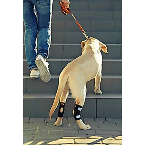 NeoAlly Cat and Dog Ankle Brace Pair Canine Rear Leg Hock Support with Safety Reflective Straps for Hind Leg Wounds Heal and Injuries and Sprains from Arthritis (S Pair)