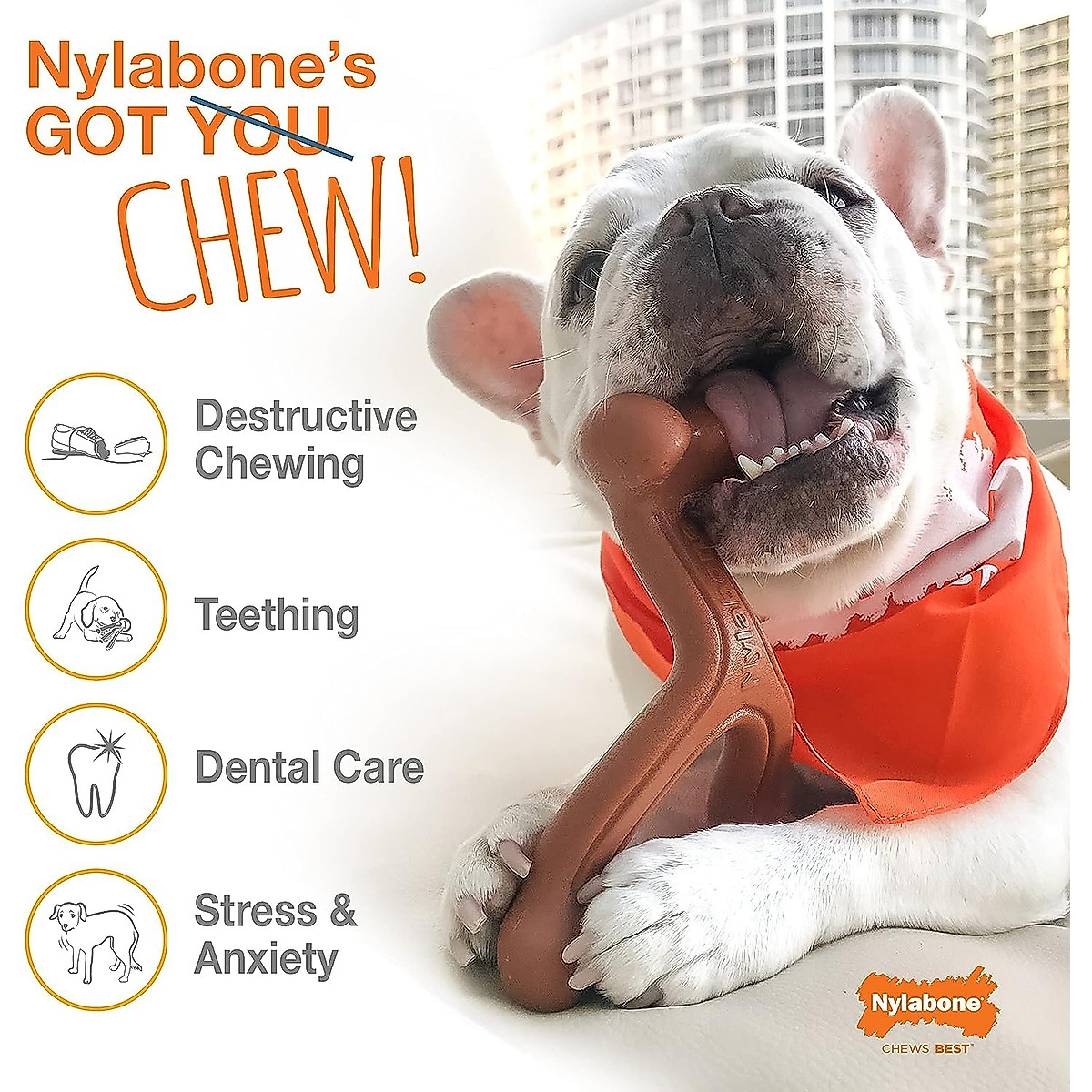 Nylabone Dura Chew Nylon Antler Dog Chew Toy, Large (4 Pack)