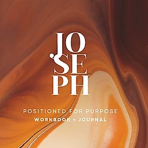 Joseph; Positioned for Purpose Workbook + Journal