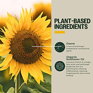 Pur O3 Fully Ozonated Sunflower Oil - Pure, Natural, Organic Ozonated Oil - Sunflower Oil Skin Care from Oxygenated, Ozonized Sunflower Oil - Ozone Oil in a Glass Jar, 2 oz