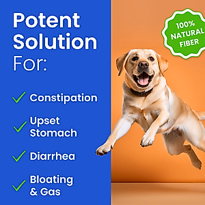 BARK&SPARK Pumpkin for Dogs - Pumpkin Fruit and Seed Powder - Powdered Fiber Supplement and Stool Softener - Improve Digestion - Made in USA - 8oz