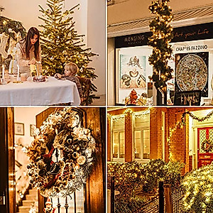 mimigogo 50-Count White Christmas Lights with Green Wire,Mini String Lights for Holiday Decorations, Christmas Tree Lights, Holiday Party, Wedding, Xmas, Home, Indoor & Outdoor Use (13ft Long)