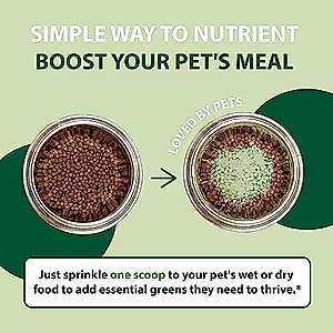 MacroLife Naturals MacroPets Greens Superfood Supplement Powder Topper for Dog Cat Small Mammal, Natural Nutrition Boost Probiotics Digestive Enzymes Vitamin E - Immune Gut Health & Energy - 6.35oz