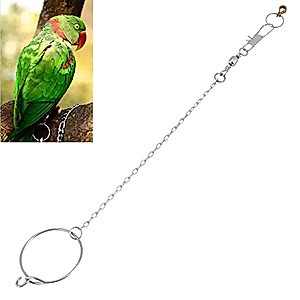Bird Anklet Chain Parrot Foot Ring Stainless Steel Bird Leash Parrot Opening Activity Ring Bird Stand Anklet Pet Bird Supplies for Nyasa Lovebird Cockatiel Cockatoo Sun Conure Monk Parakeet(5.5mm)
