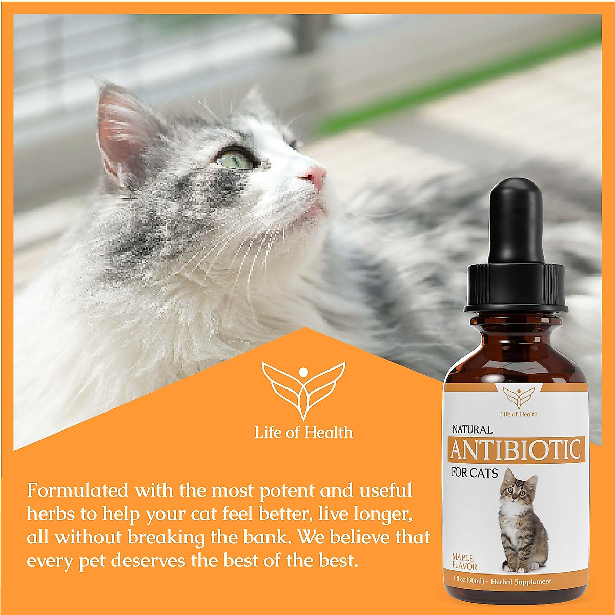 Natural Antibiotics for Cats - Cat Antibiotics - Cat Antibiotic - Pet Antibiotics - Cat Immune Support - Antibiotic for Cats - Cat Multivitamin - Cat UTI Antibiotics - (2 Pack)