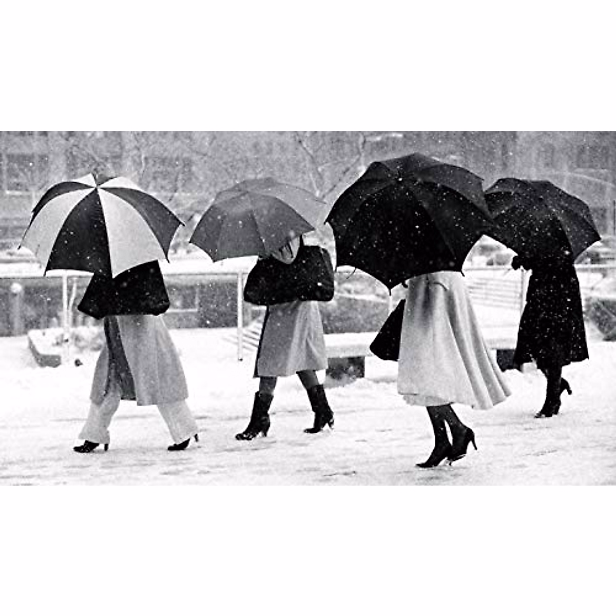 Bill Cunningham: On the Street: Five Decades of Iconic Photography