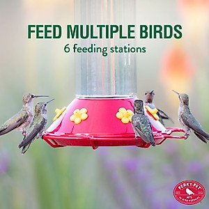 Perky-Pet 209B-1SR Our Best Glass Hummingbird Feeder with Perches, Built-in Ant Moat and Bee Guards - 30 oz Outdoor Garden Décor Hummingbird Feeder