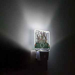 LED Night Light, Plug-in, Dusk to Dawn Sensor, Easter Green Truck Pull Rabbits Eucalyptus Leaves Wreath Decorative Nightlight for Bedroom, Bathroom, Nursery, Hallway, Kitchen, Stairs, Kids Room