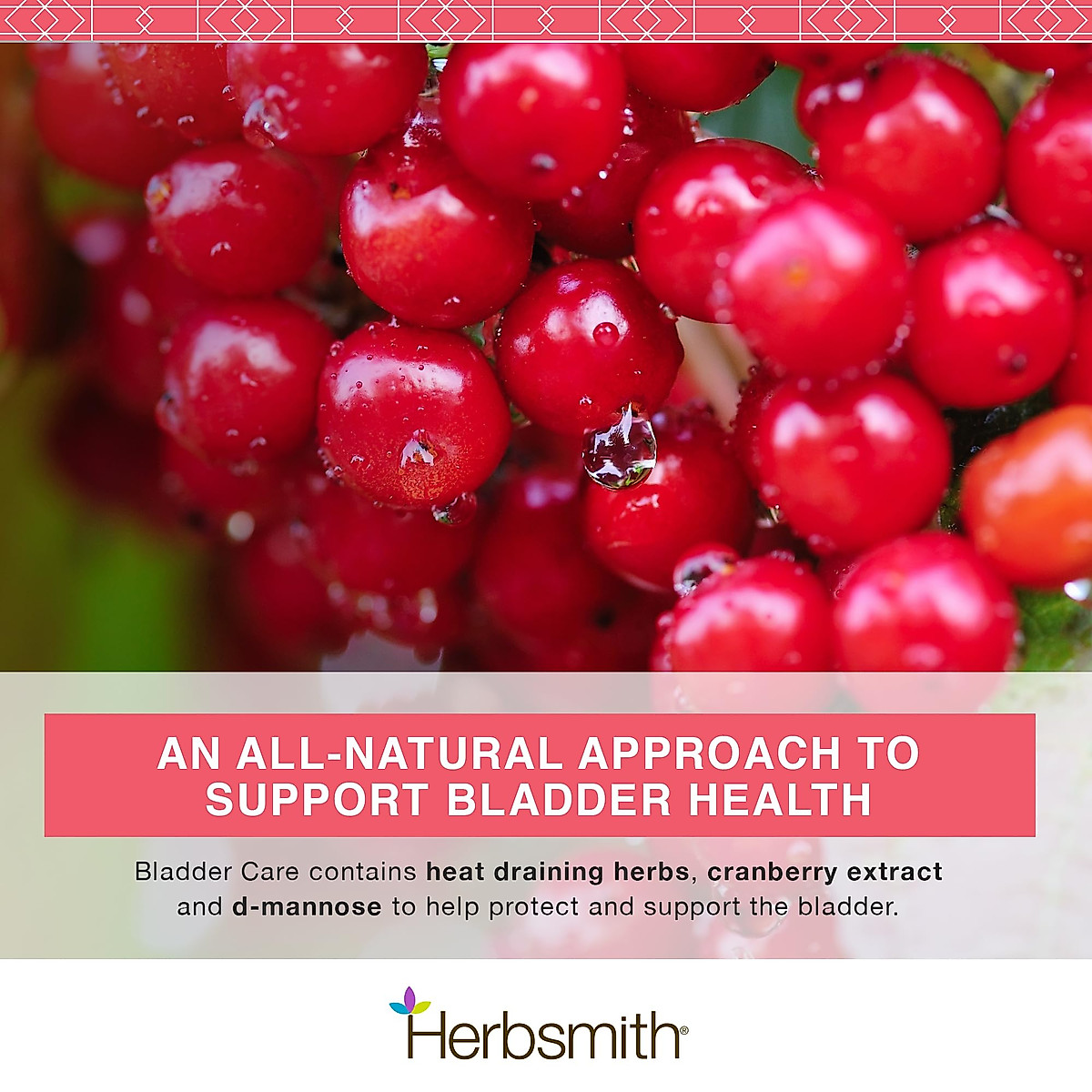 Herbsmith, Bladder Care for Cats and Dogs – Maintains Urinary Health for Dogs and Cats – Dog and Cat Kidney Support – 75g Powder