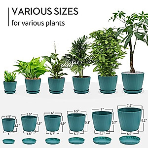 Faxinny Set of 6 Plastic Planters with Saucers ,7.5/7/6.5/6/5.5/4.5 Inch Plant Pots with Drainage Hole and Tray for All Indoor Plants, Flowers, Snake Plant and Succulents ,Green