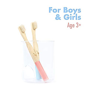 Native Birds Kids Bamboo Toothbrush with Soft Bristles, Set of 4 Eco Friendly Toothbrushes, BPA Free, Designed in Ukraine