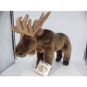 Webkinz Signature Moose with Trading Cards