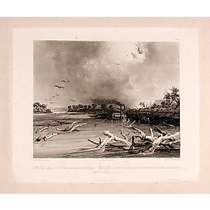 Snags (sunken trees) on the Missouri